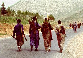 1991: The Kurdish uprising | libcom.org